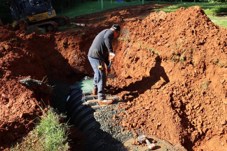 Roots In Septic System? (Here’s What To Do)