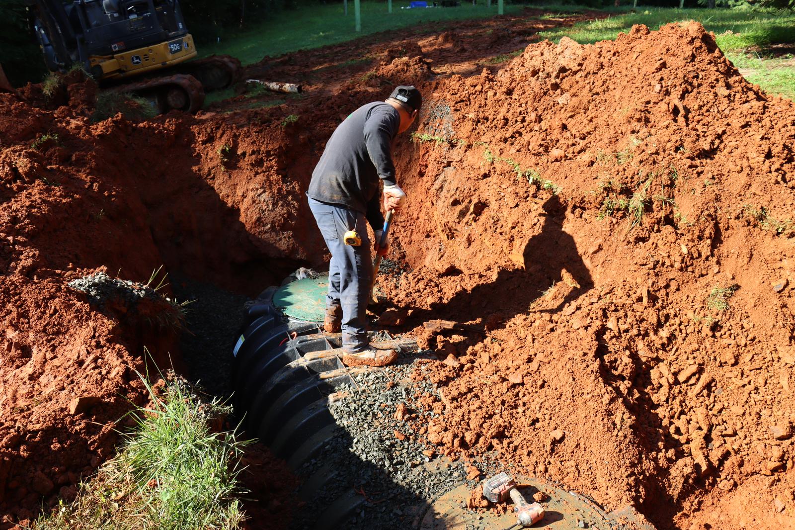Roots In Septic System? (Here’s What To Do)